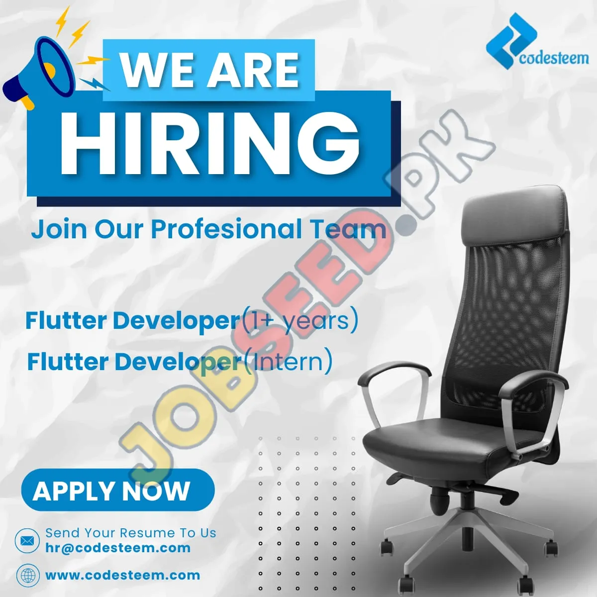 Flutter Developer Intern